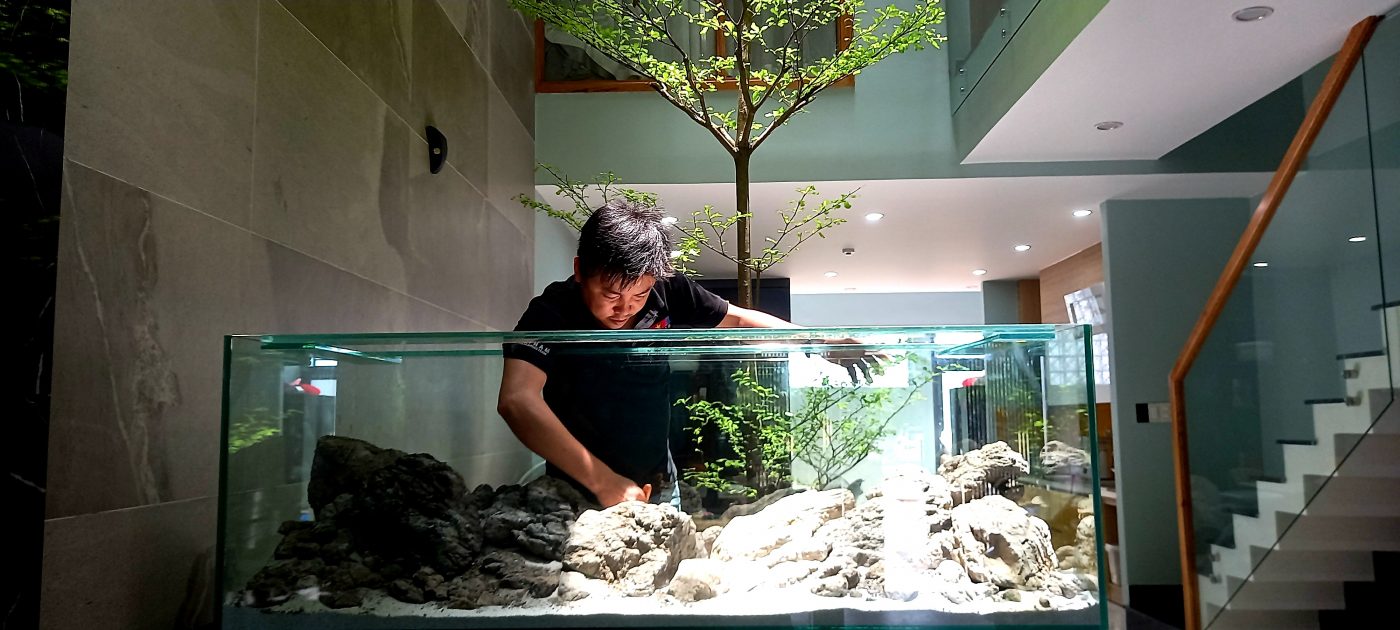 Layout biotop 1m6 – Cửa hàng thủy sinh Đà Nẵng